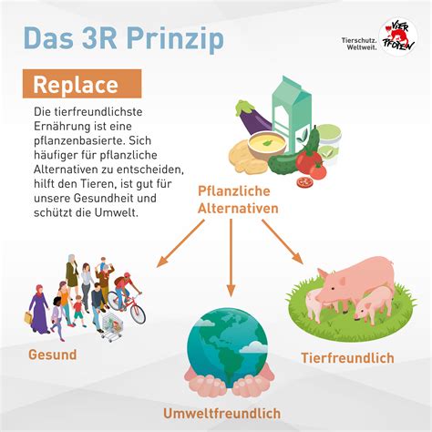 Die 3r Reduce Refine Replace Vier Pfoten In Der Schweiz Stiftung Für Tierschutz