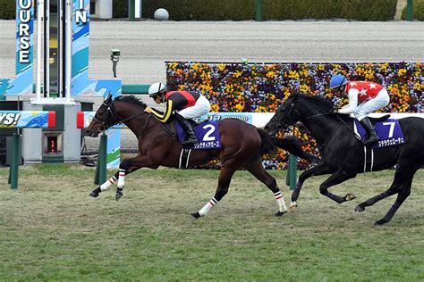 朝日杯フューチュリティステークスの予想に役立つデータを紹介！過去の傾向や要注目馬を解説！ みんなの競馬検証