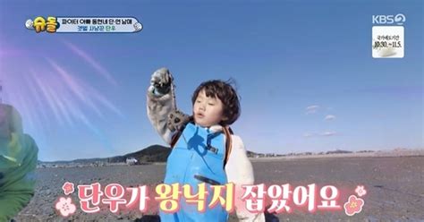 김동현 子 단우 맨손으로 낙지전어 잡는 4살 “바다 체질이네”슈돌