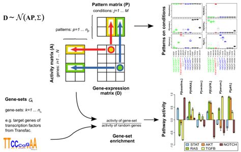 Scheme Of Cogaps Algorithm In The First Step Cogaps Factorizes The Download Scientific