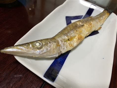 カマスの塩焼き魚食109日目 新鮮な魚はやっぱり美味い