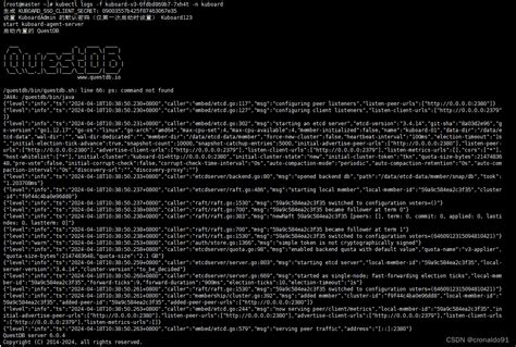 云原生kubernetes K8s 129版本 部署kuboard Csdn博客