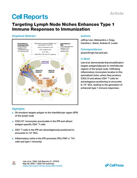 Pdf Targeting Lymph Node Niches Enhances Type 1 Immune Responses To Immunization