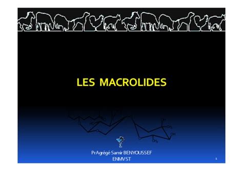 Relation Structure Activite Des Macrolidespdf Notice And Manuel D