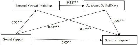 Frontiers Social Support And A Sense Of Purpose The Role Of Personal Growth Initiative And