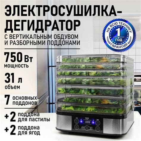 Дегидратор сушилка для овощей электросушилка STINGRAY ST-FD701A с ...