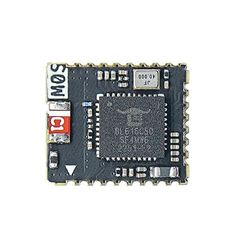 Unleashing Innovation With The RISC V AIoT TinyML Module Electronikz