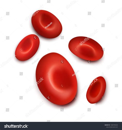 Erythrocytes Rbc Vector Illustration Isolated On Stock Vector Royalty