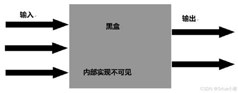 软件测试：黑白盒测试的区别及白盒测试全面解析与应用黑盒测试 Csdn博客