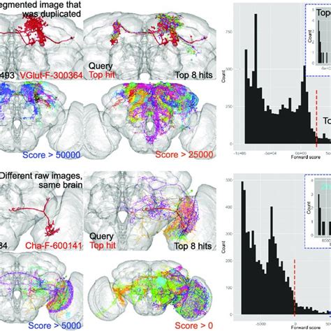 Affinity Propagation Clustering A Clustering By Affinity Propagation Download Scientific