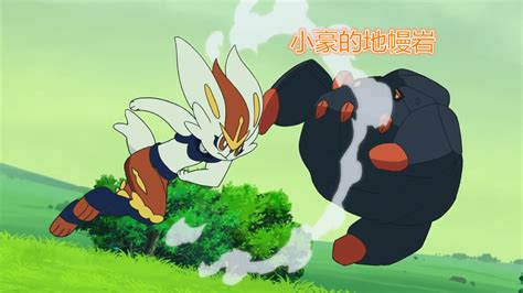 宝可梦：小智收鳃鱼龙之后是稚山雀？大木后院首只回归宝可梦确认 搜狐大视野 搜狐新闻