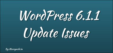 Wordpress 611 Update Issues Moreynchi