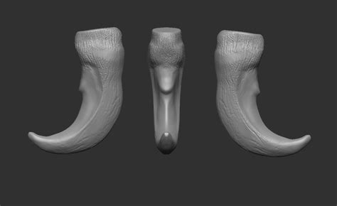 🐺 Wolf Claw・ Obj File For 3d Printing・cults