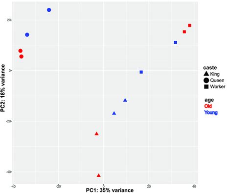 Principal Component Analysis Of Transcript Count Data Principal