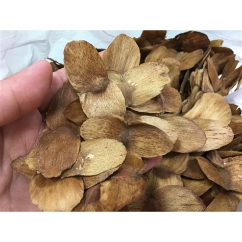 Manila Olive Kernel Philippines Kernel Shopee Singapore
