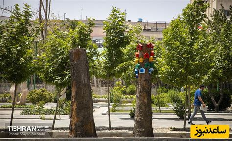 خلاقیت شهرداری برای تغییر نمای درختان خشکیده در سطح شهر عکس