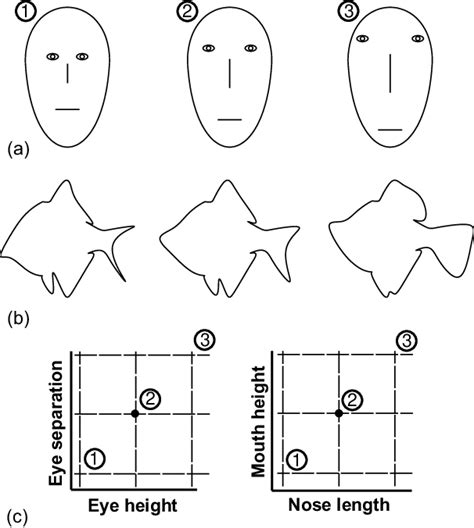 Parameterized Variation Of Stimulus Features A The First Stimulus
