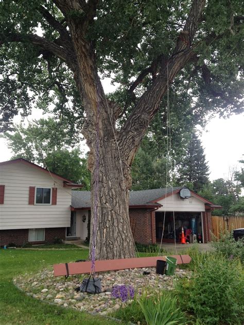 The Treehouser Part 6 Hoisting The First Treehouse Beam