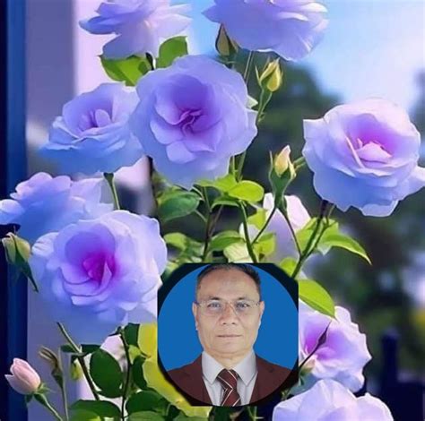 Bbc ၂၀၂၄ ခုနှစ်၊ မေလတုန်းက ဘူးသီးတောင်တိုက်ပွဲပြင်းထန်ချိန်မှာ အမှတ် ၁၅ စစ်ဆင်ရေးကွပ်ကဲမှုဌာနခ