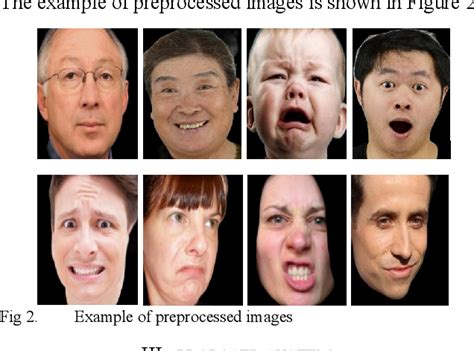 Figure 2 From Investigation On Mlp Cnns And Vision Transformer Models Performance For