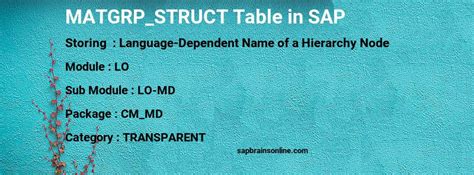 MATGRP STRUCT SAP Table For Language Dependent Name Of A Hierarchy Node
