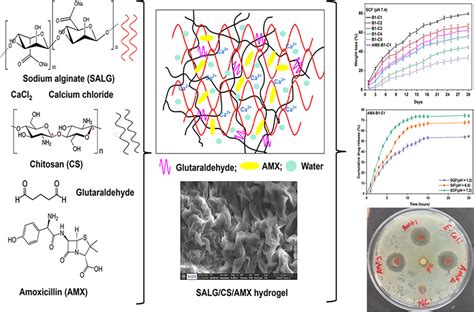 Polymer Engineering And Science Vol 63 No 8