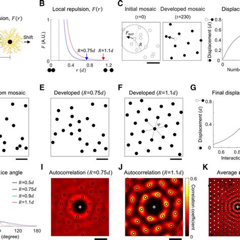 Local Repulsive Interaction Can Develop Hexagonal Patterns In A