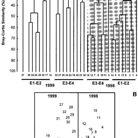 a dendrogram of group average clustering of bray curtis similarities