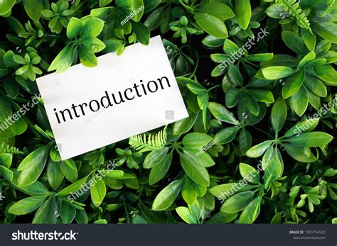 Introduction Word Light Photos And Images Pictures Shutterstock