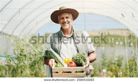 4 Hundred Environmental Field Work Australia Royalty Free Images