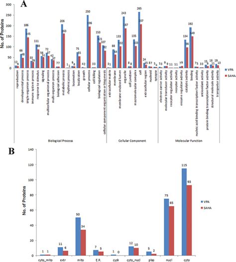 Gene Ontology Go Classification Analysis A And Subcellular Download Scientific Diagram