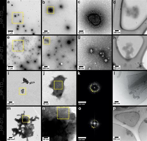 negative stained tem ffts and cryo tem of peptide hairpin pin