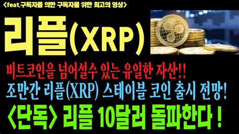 리플 리플코인 리플코인전망 Xrp Btc 코인전망 비트코인 이더리움 도지코인 Youtube
