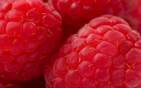Raspberry Macro Wallpaper 1920x1200 24875 Raspberry Macro Wallpaper 1920x1200 24875