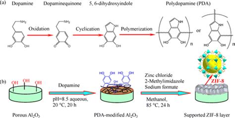 Bio Inspired Polydopamine A Versatile And Powerful Platform For