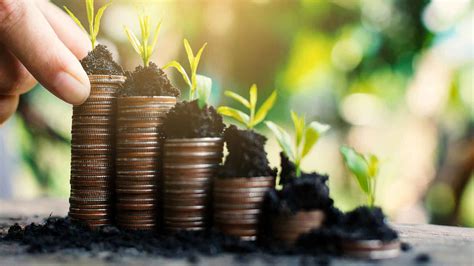 Neuphony Raises Rs 11 Crore In Seed Funds