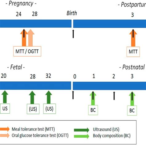 Schematic Representation Of The Prospective Cohort Indicating Readouts