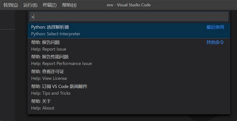 Python venv 虚拟环境设置 viewts 博客园