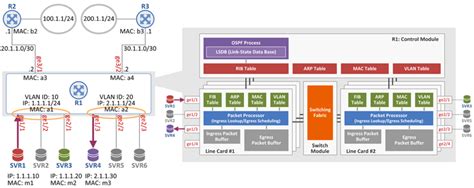 Ip Forwarding Table Decoration Examples
