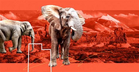 Who Has Raised The Most Money In The Utah Senate Race Deseret News