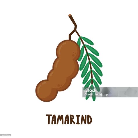 Tamarind Cartoon Vector Tamarind On White Background Stock Illustration