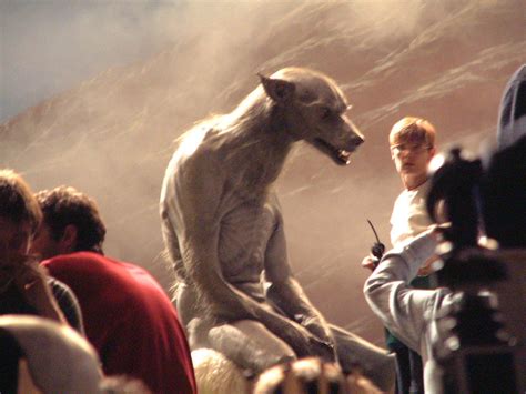 Who Played Werewolf In Harry Potter