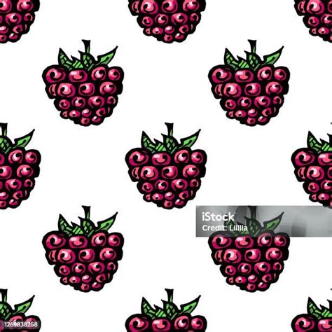 Seamless Pattern With Hand Drawn Raspberry On White Background Stock