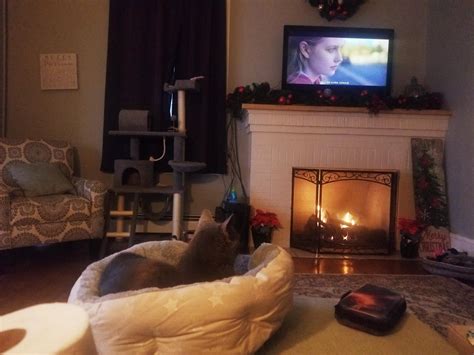 Snuggly With The Kitty Rcozyplaces