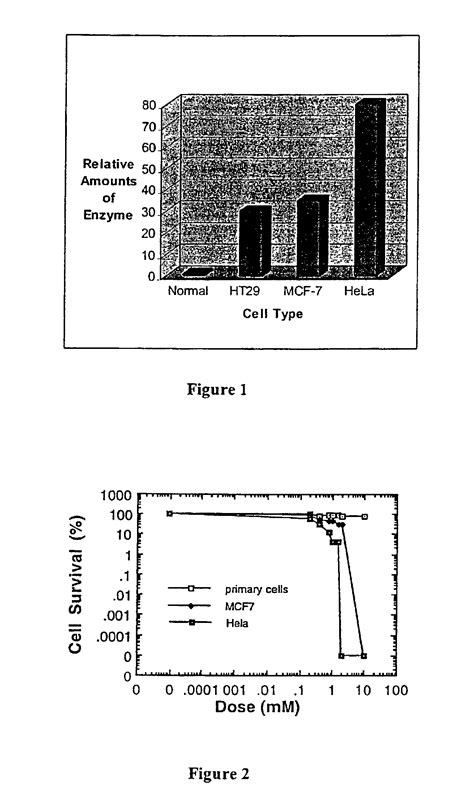 Inhibitors Of Endo Exonuclease Activity For Treating Cancer Eureka Patsnap