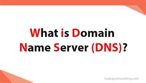 What Is Domain Name Server Dns Types Working Snabay Networking