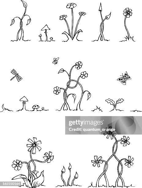 Sketches Flower Grass Photos And Premium High Res Pictures Getty Images