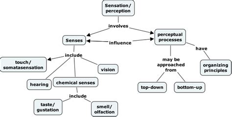 Ihmc Cmaptools Concept Map 6 Perceptionsensation