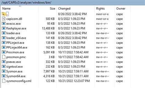Capev2 Sysmon Auxilary Module Cannot Execute Auxiliary Module Sysmon · Issue 1214