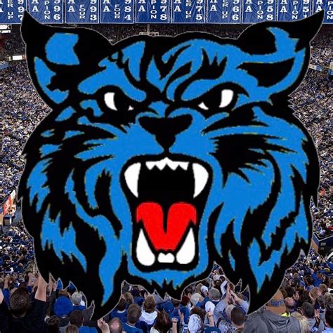 Daniel Hager Youtube